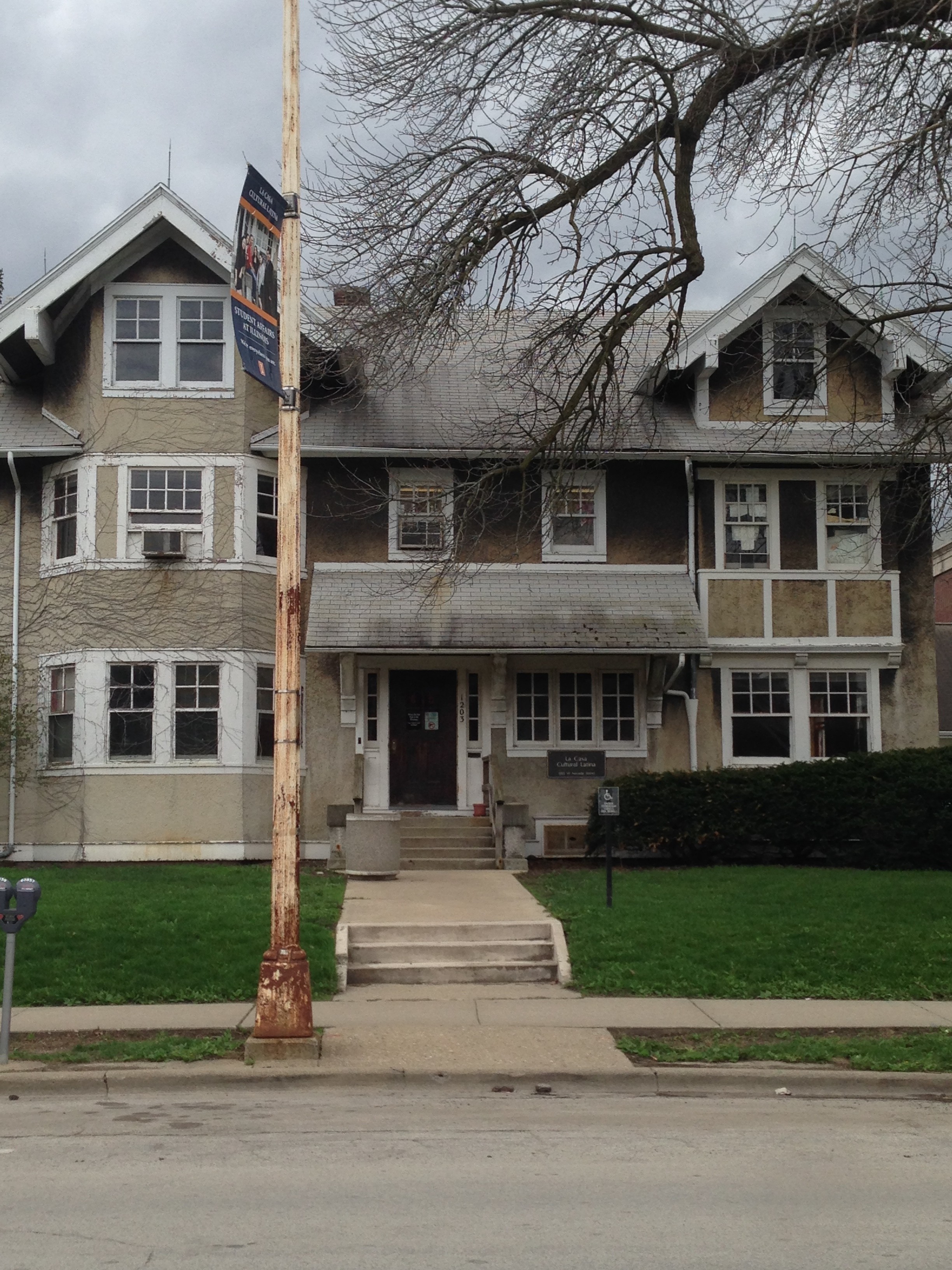 Exploring Diversity and Inclusivity at UIUC: Behind the Numbers ...